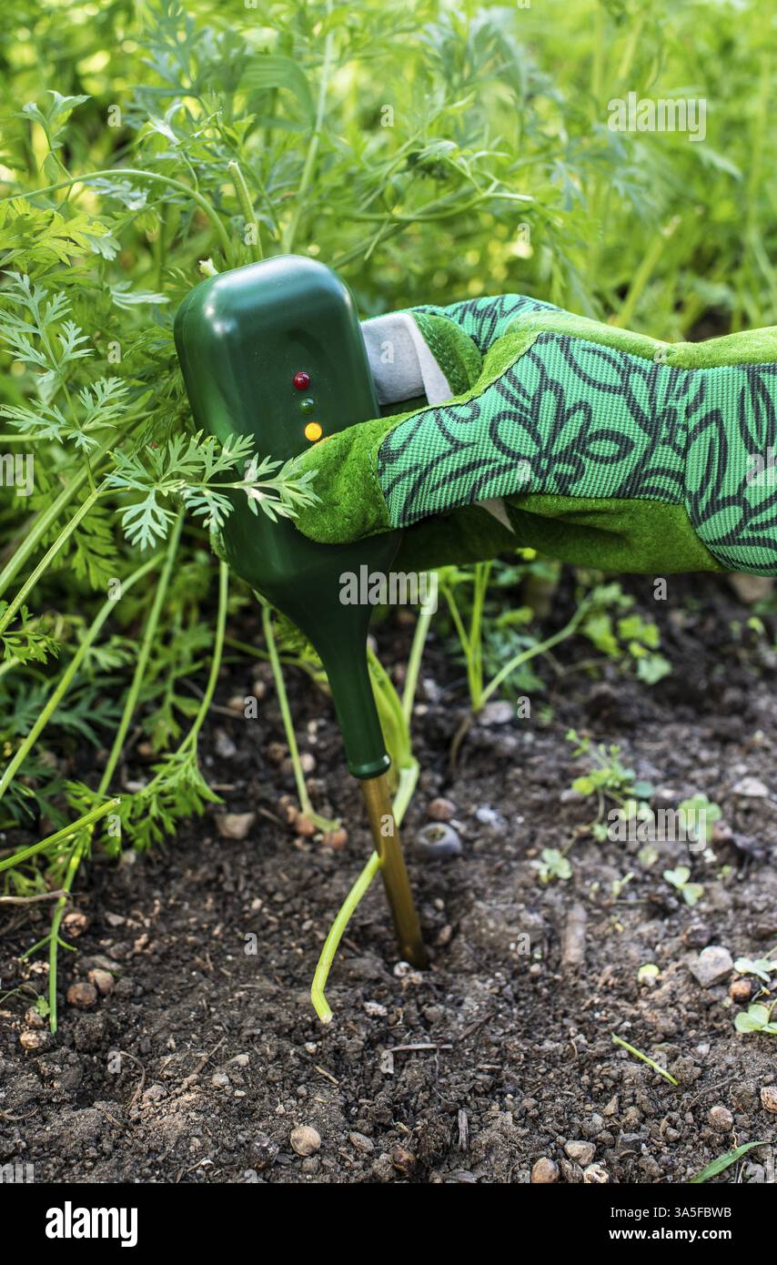 Nutrients soil meter. Measure soil for nitrogen content with digital ...