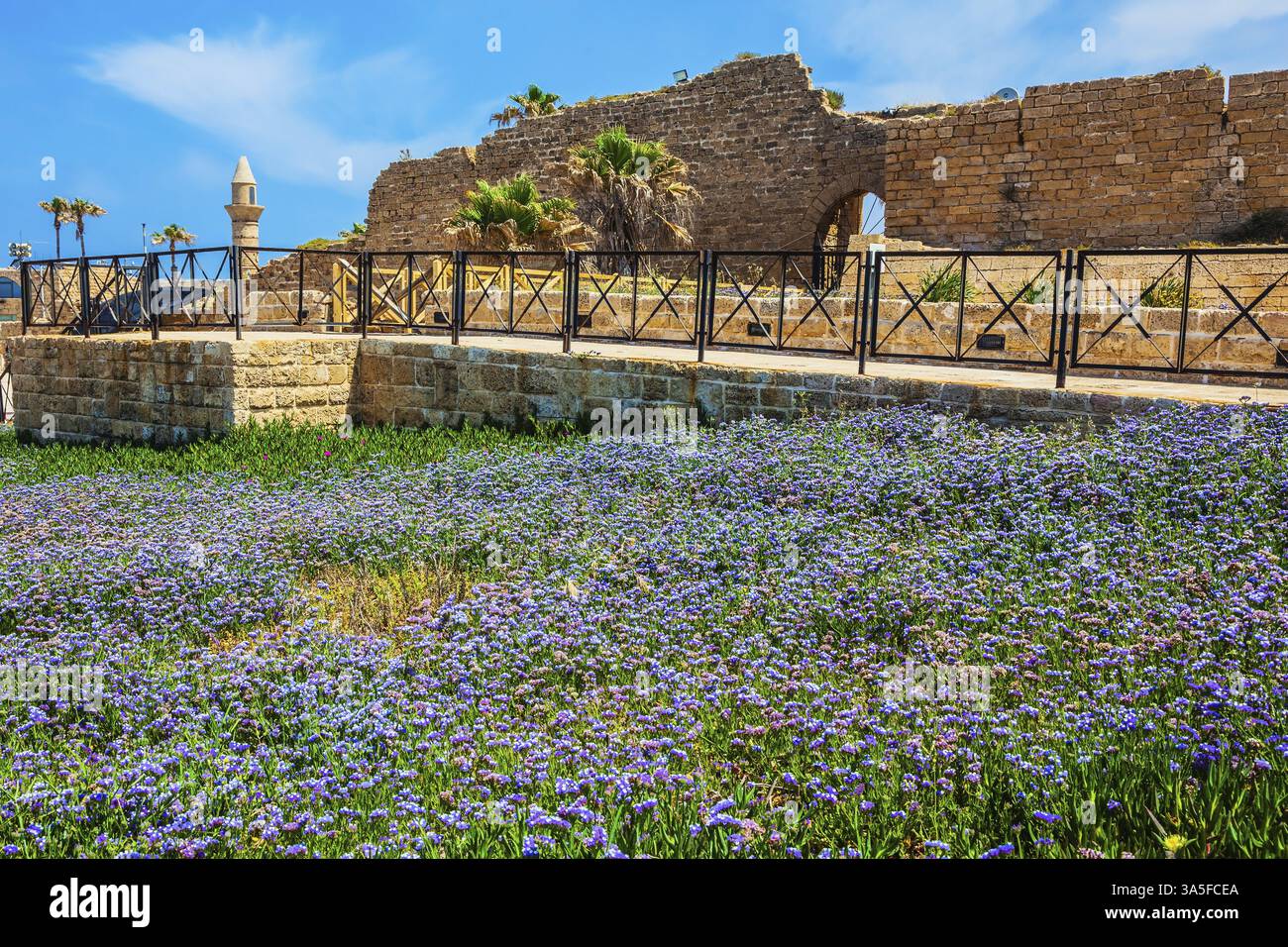 National park Caesarea on the Mediterranean. Israel. The ruins of the ...