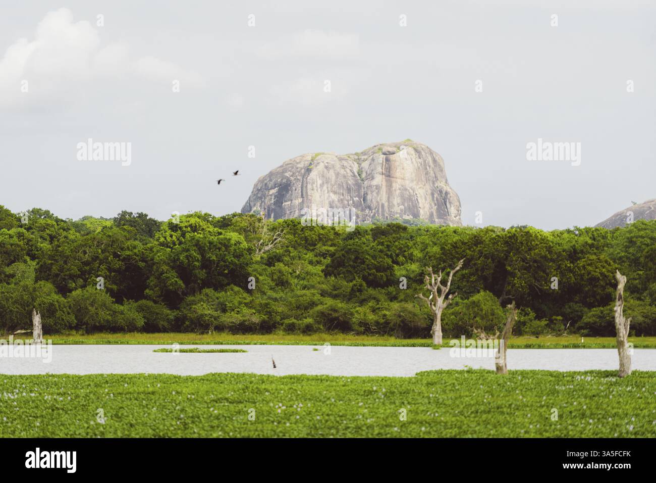 A majestic mountain rises behind a lake and lush forested terrain, Yala ...
