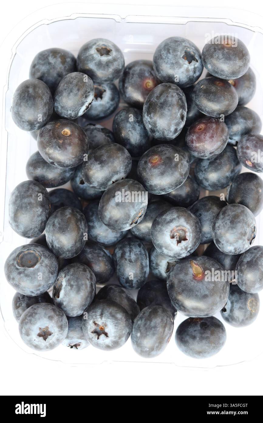 Plastic punnet full of lush blueberries against plain white background ...
