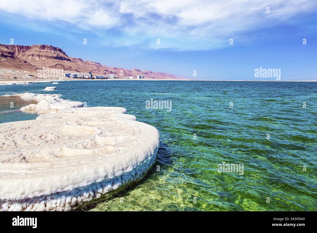 Dead Sea. Israel. Evaporated salt forms beautiful, crystals on the ...