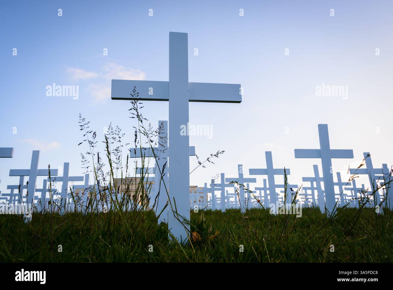 Low angle view of white crosses on Armistice Day commemoration ...