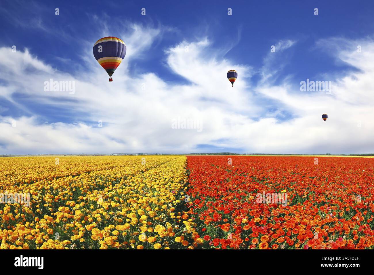 Beautiful spring weather, three balloons flying over the field. The ...