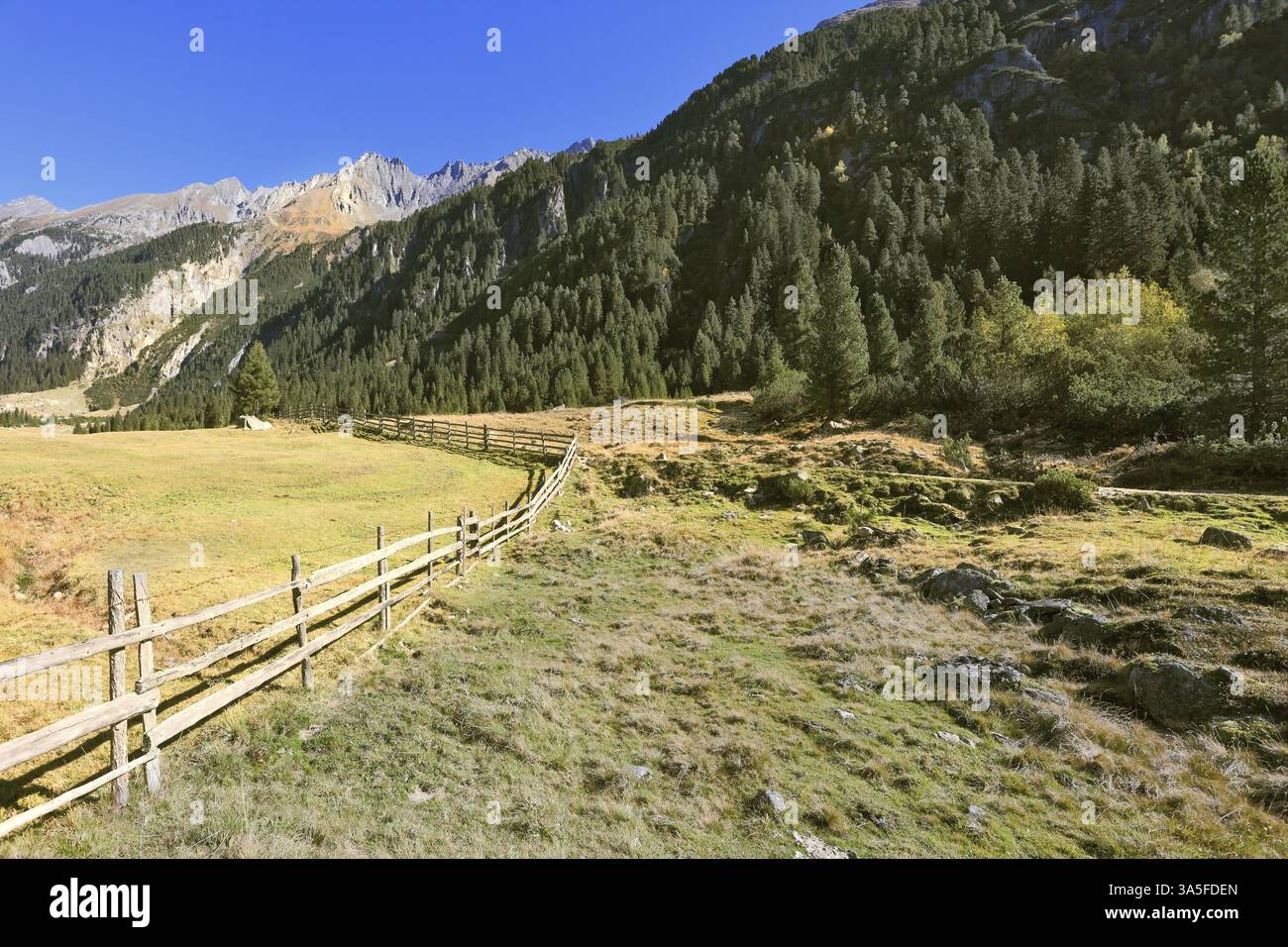 Alpine Valley in Austria. National Park Krimml waterfalls. Scenic farm ...