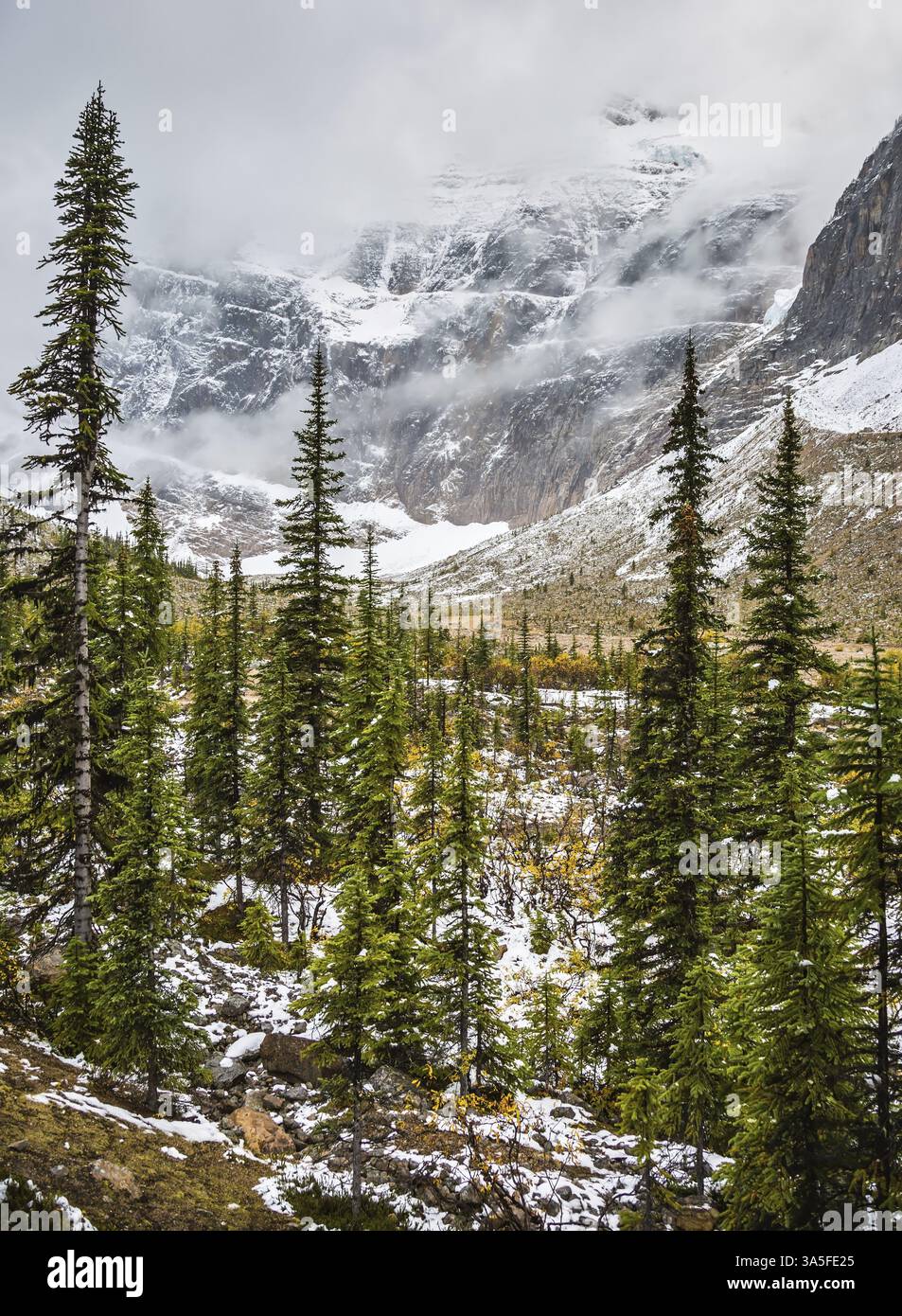 Cold start of autumn in Jasper Park. Snow fell in September. Mount ...