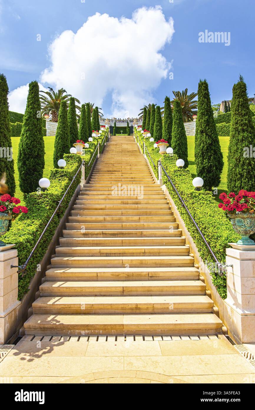 Cypress trees rows on hi-res stock photography and images - Alamy