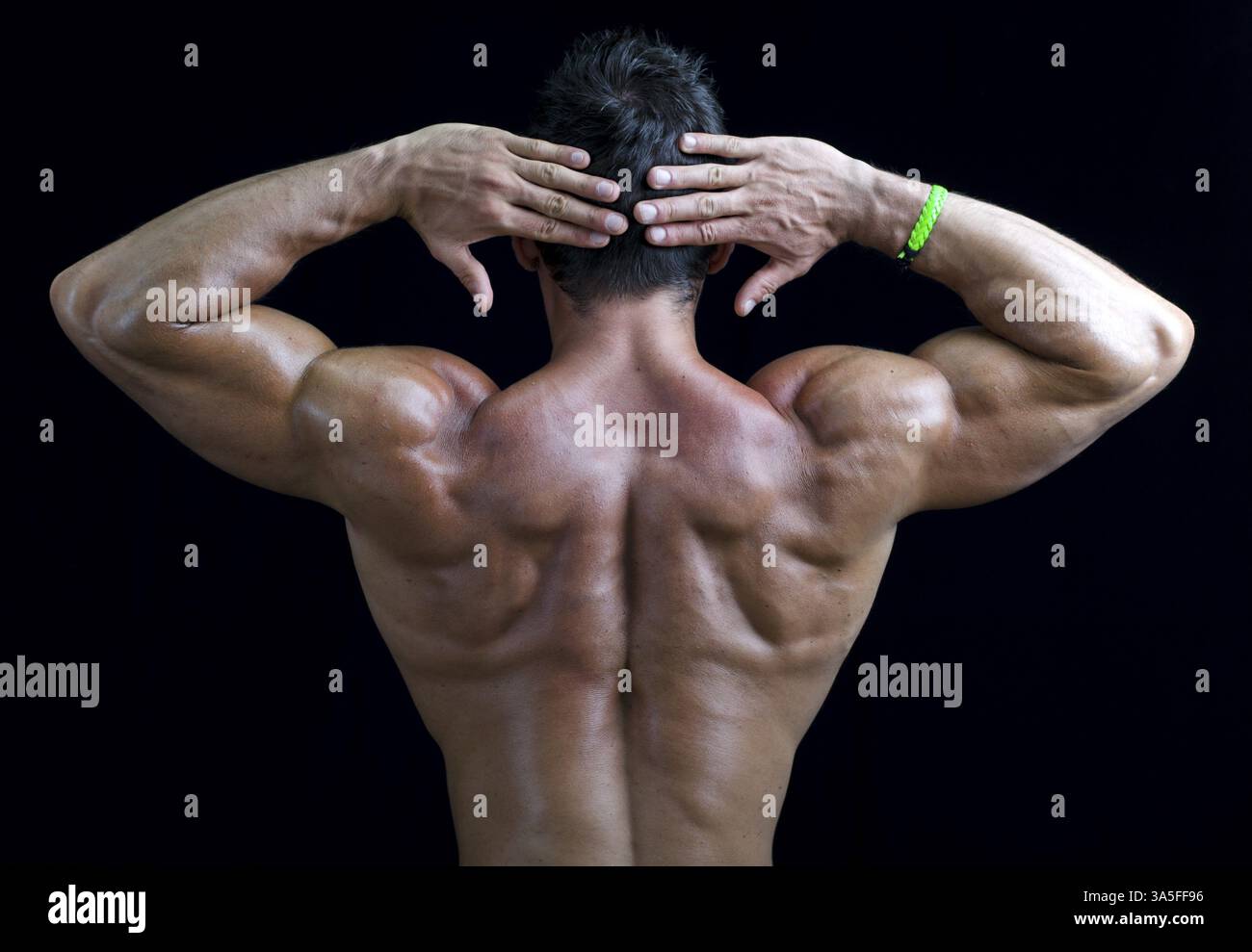 Young muscular bodybuilder's back, hands behind his head. On black ...