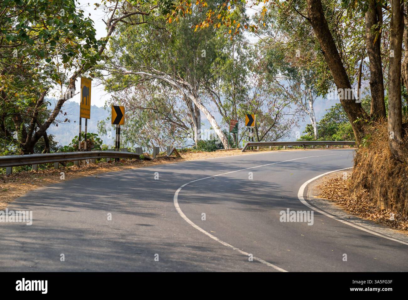 Natural Tea Plantation in Devala Hutty Sunset Tamilnadu, India Stock ...