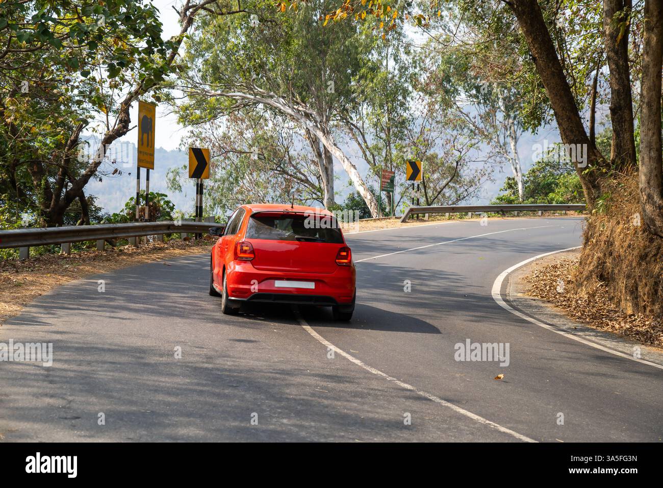 Natural Tea Plantation in Devala Hutty Sunset Tamilnadu, India Stock ...