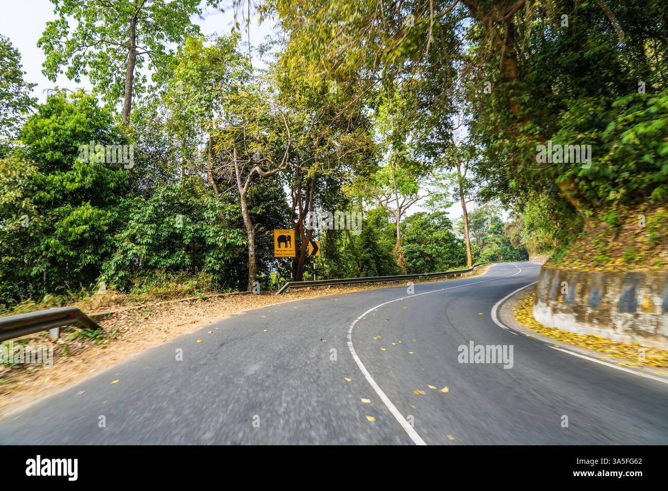 Natural Tea Plantation in Devala Hutty Sunset Tamilnadu, India Stock ...