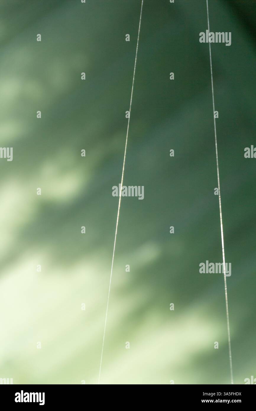 Shimmering threads hi-res stock photography and images - Alamy