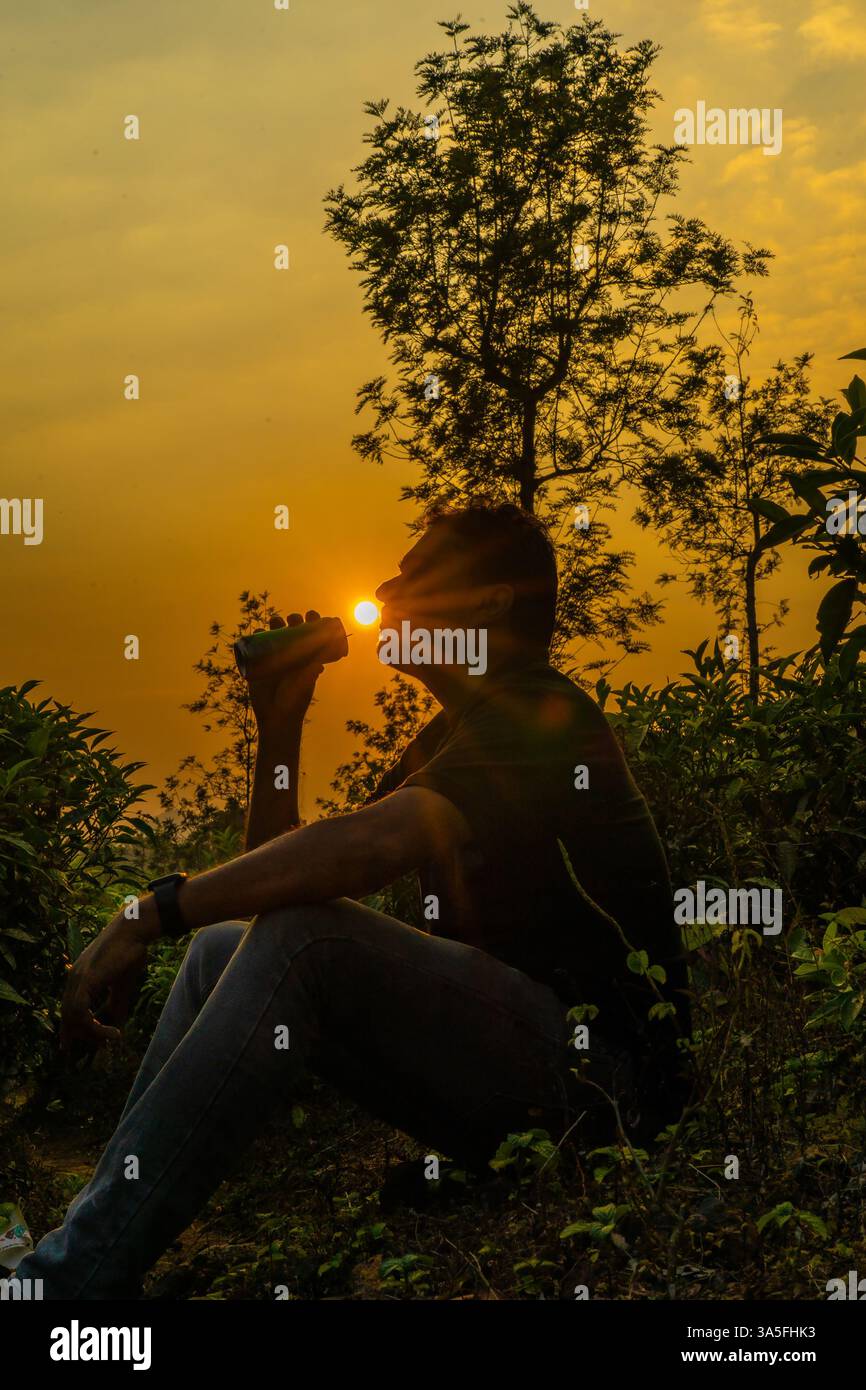 Natural Tea Plantation in Devala Hutty Sunset Tamilnadu, India Stock ...