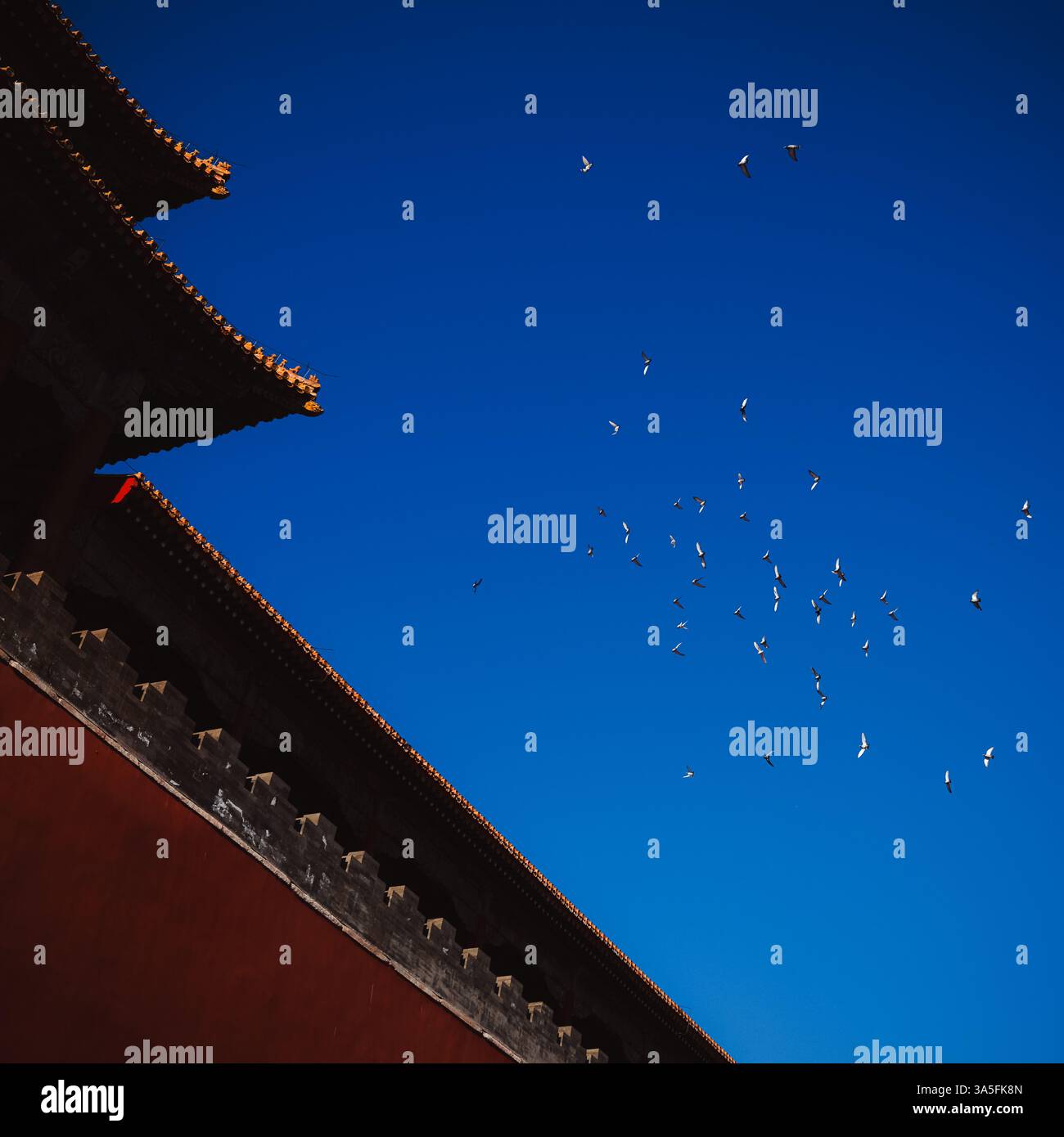 Imperial grandeur meets timeless elegance: Vermilion walls, gilded ...