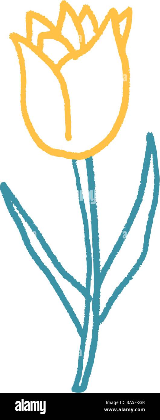 Tulip flower crayon drawn. Spring crocus plant doodle isolated on white ...