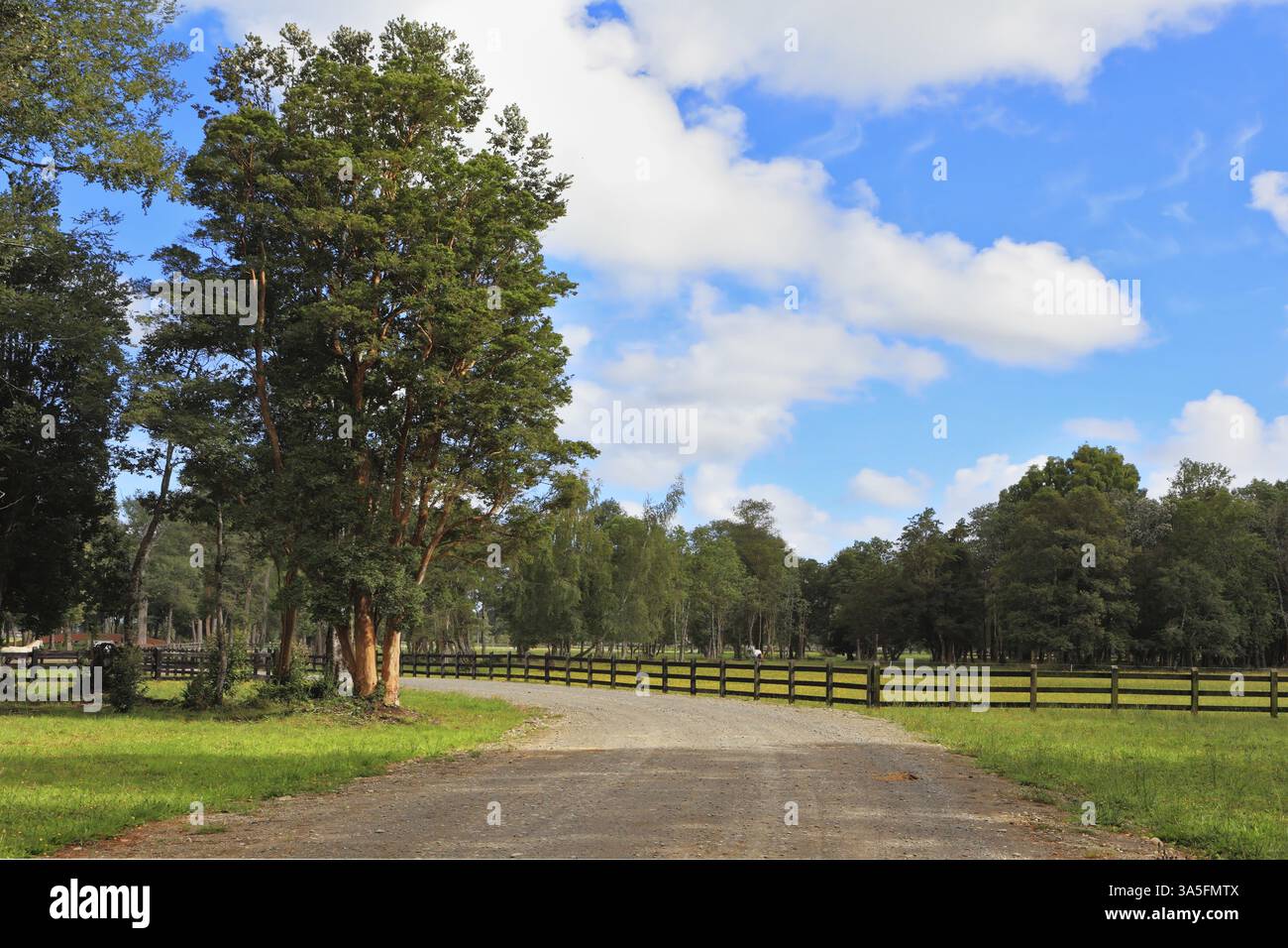 Sturdy roads hi-res stock photography and images - Alamy
