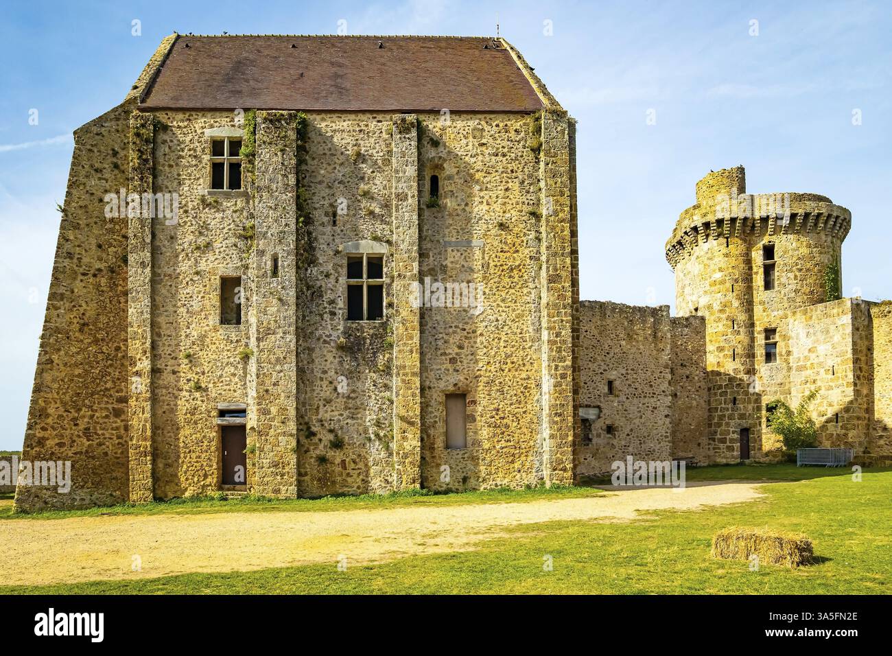 The castle courtyard is overgrown with grass. The Chateau de la ...