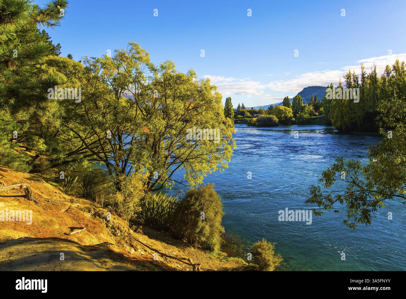 River with rapid flow feeding Lake Wanaka. South Island, New Zealand ...