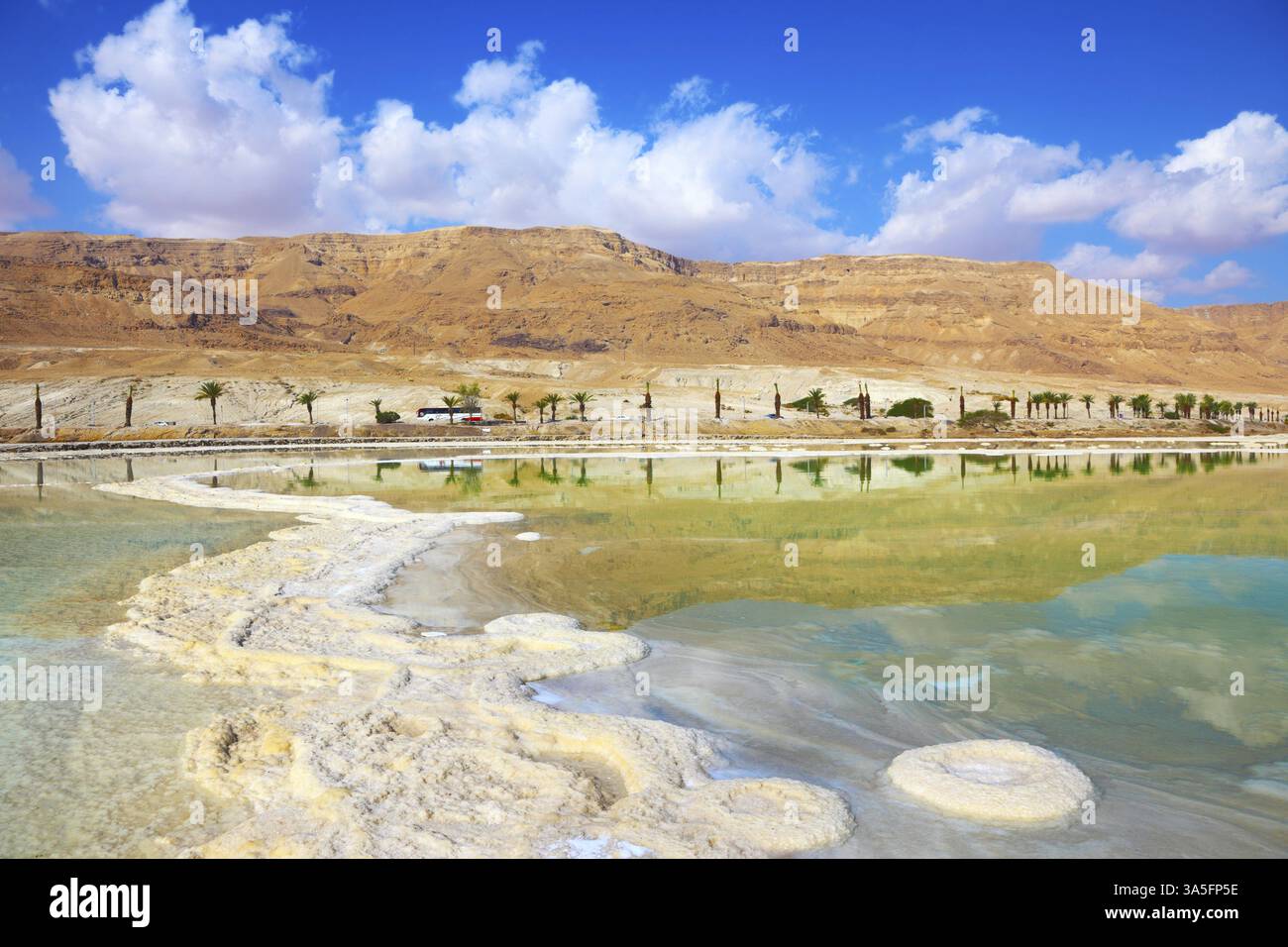 Salt formed a long track with scalloped edges in the Dead Sea. Along ...