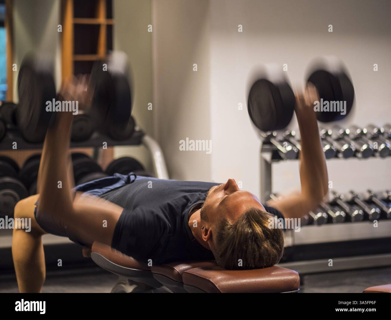 Muscular young man, lifting dumbbells training pecs on gym bench Stock ...