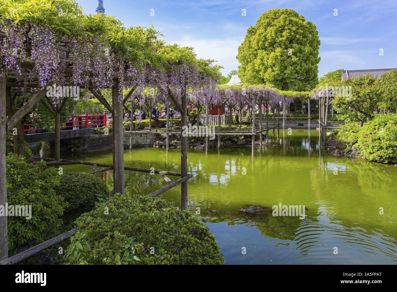 Spring trip to the Land of the Rising Sun. Flower Temple by Kameido ...