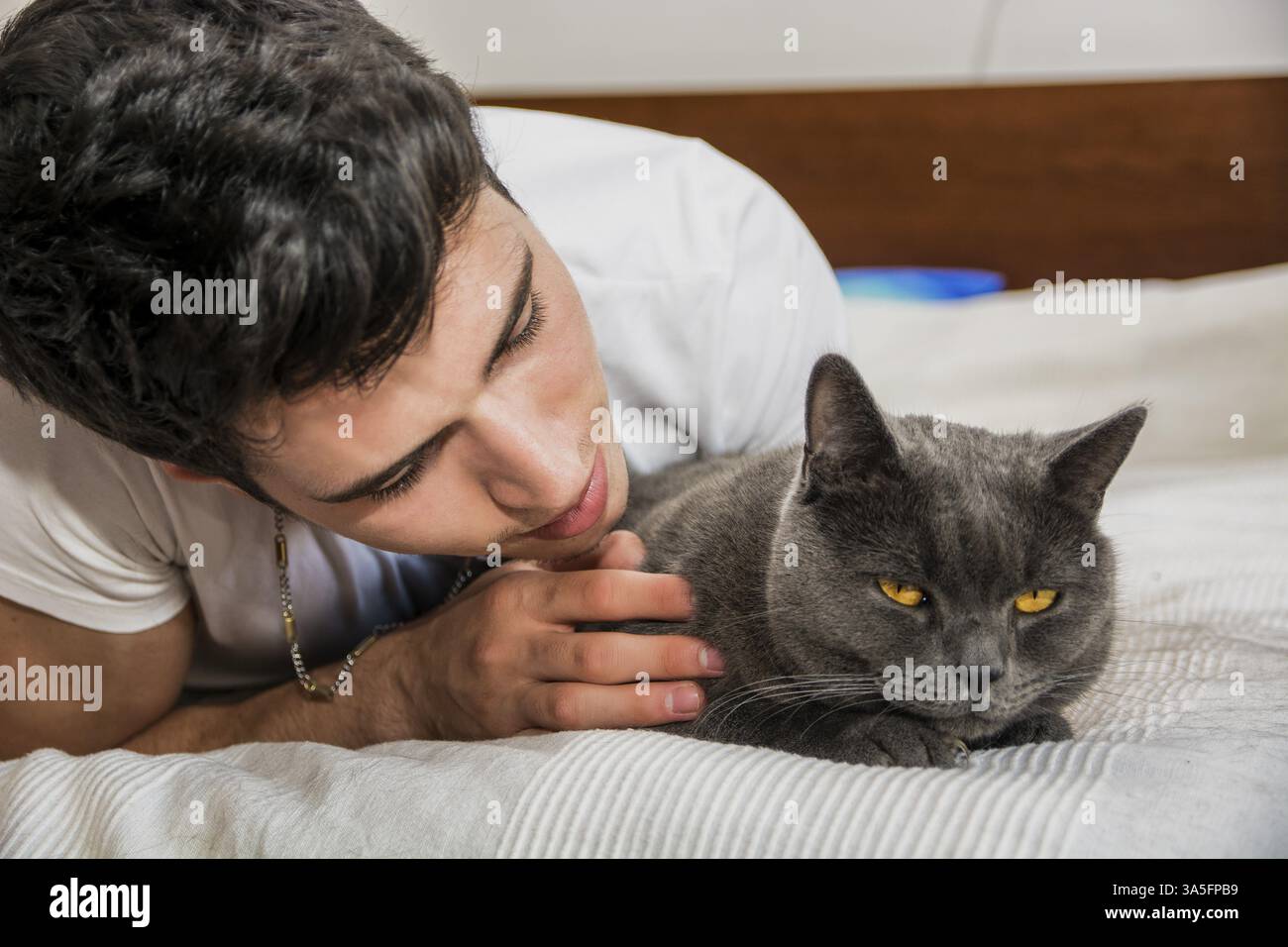 Handsome Young Animal-Lover Man on a Bed, Hugging and Cuddling his Gray ...