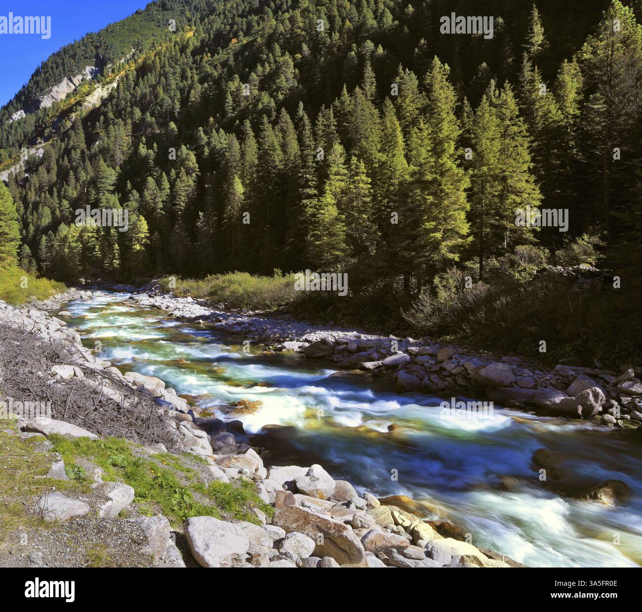 Pastoral in the Alpine mountain valley in Austria. Rapid mountain ...