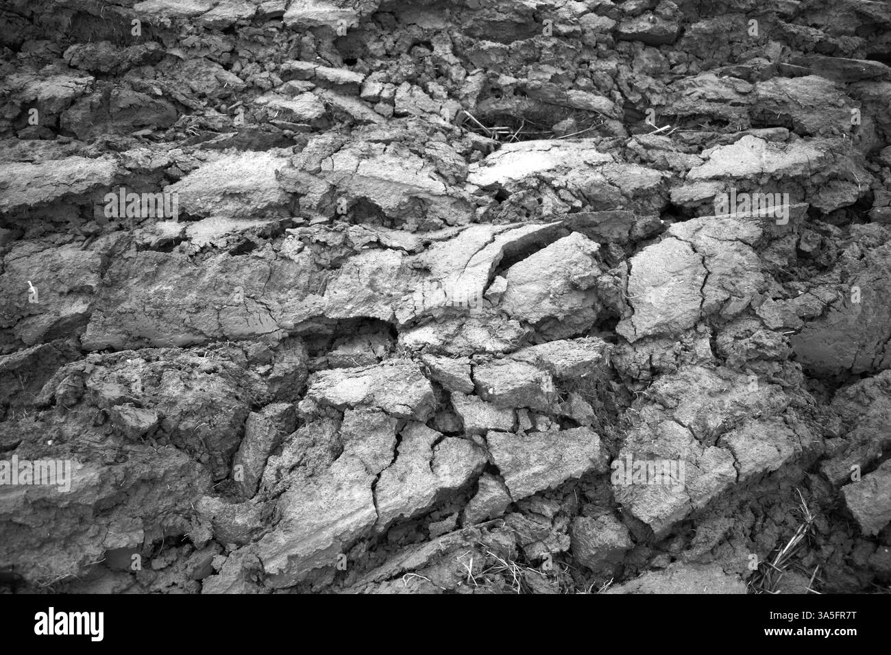 Cracked Earth Texture – Black and White Abstract Soil Pattern Stock ...