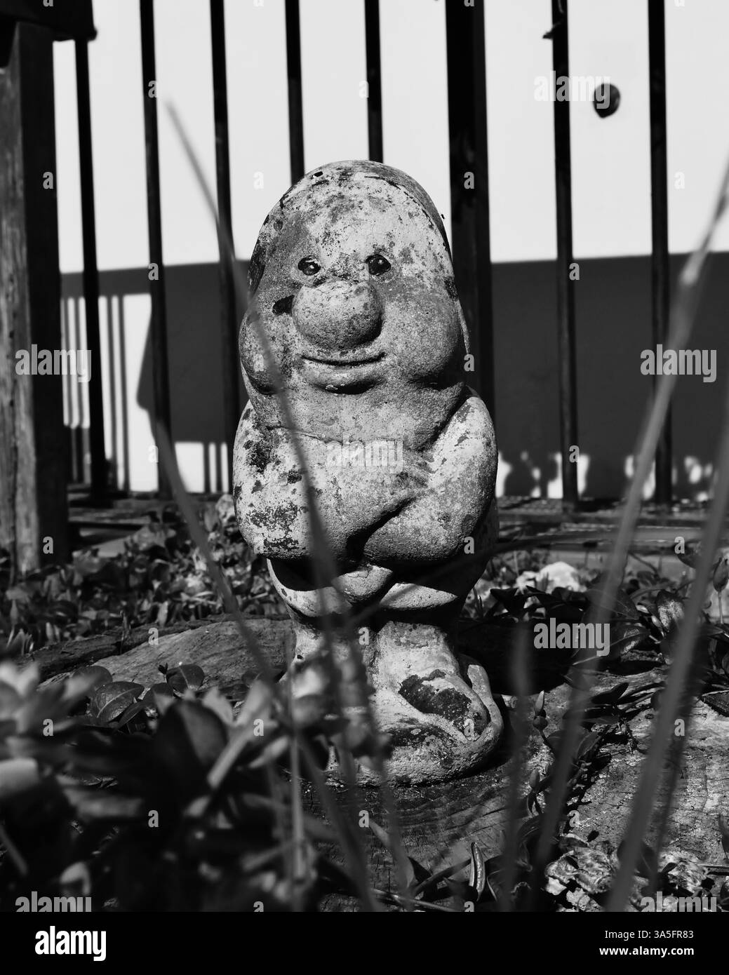 Depth photography Black and White Stock Photos & Images - Alamy