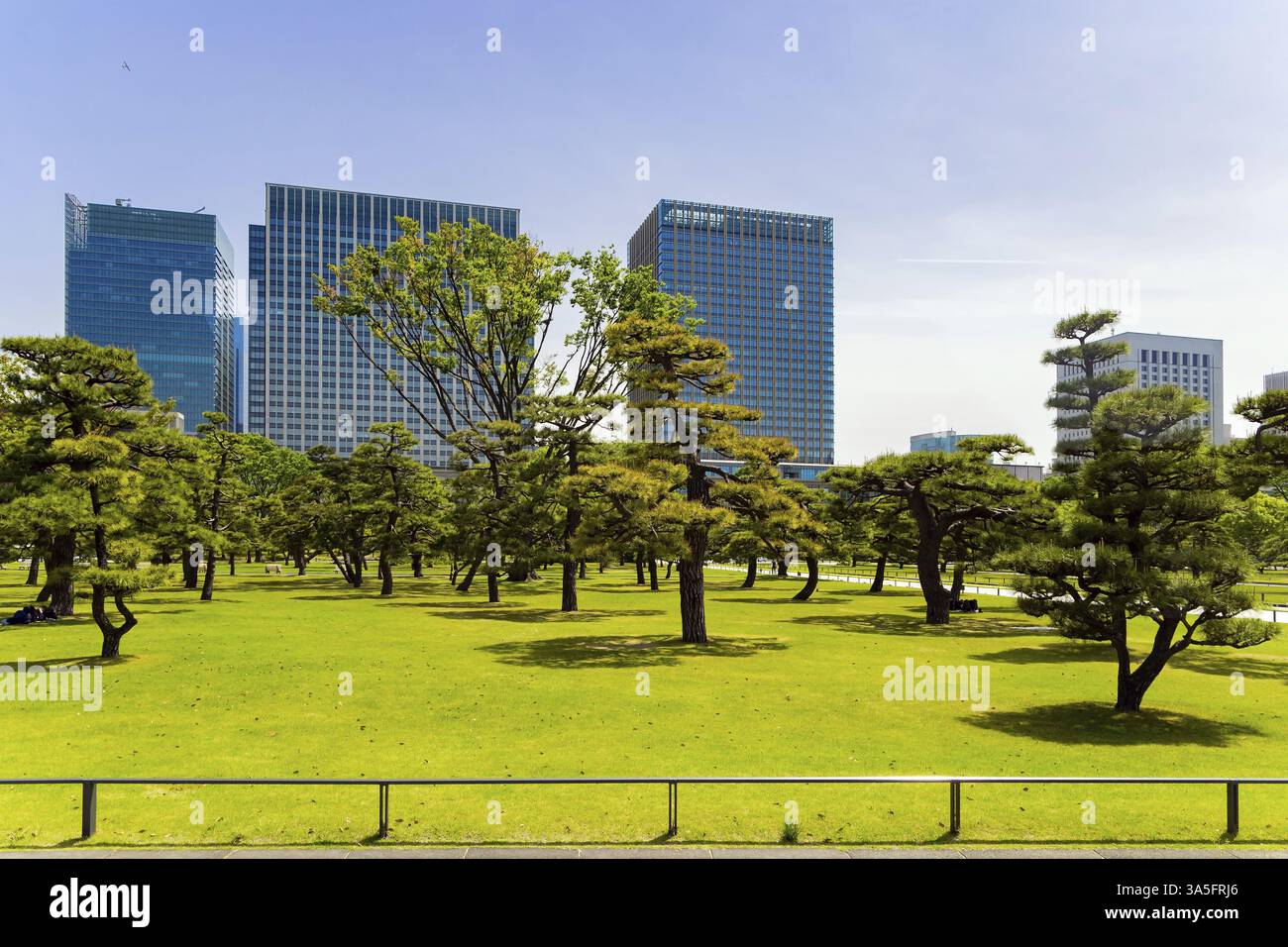 Magnificent park on the palace square. Tokyo. The residence of emperors ...