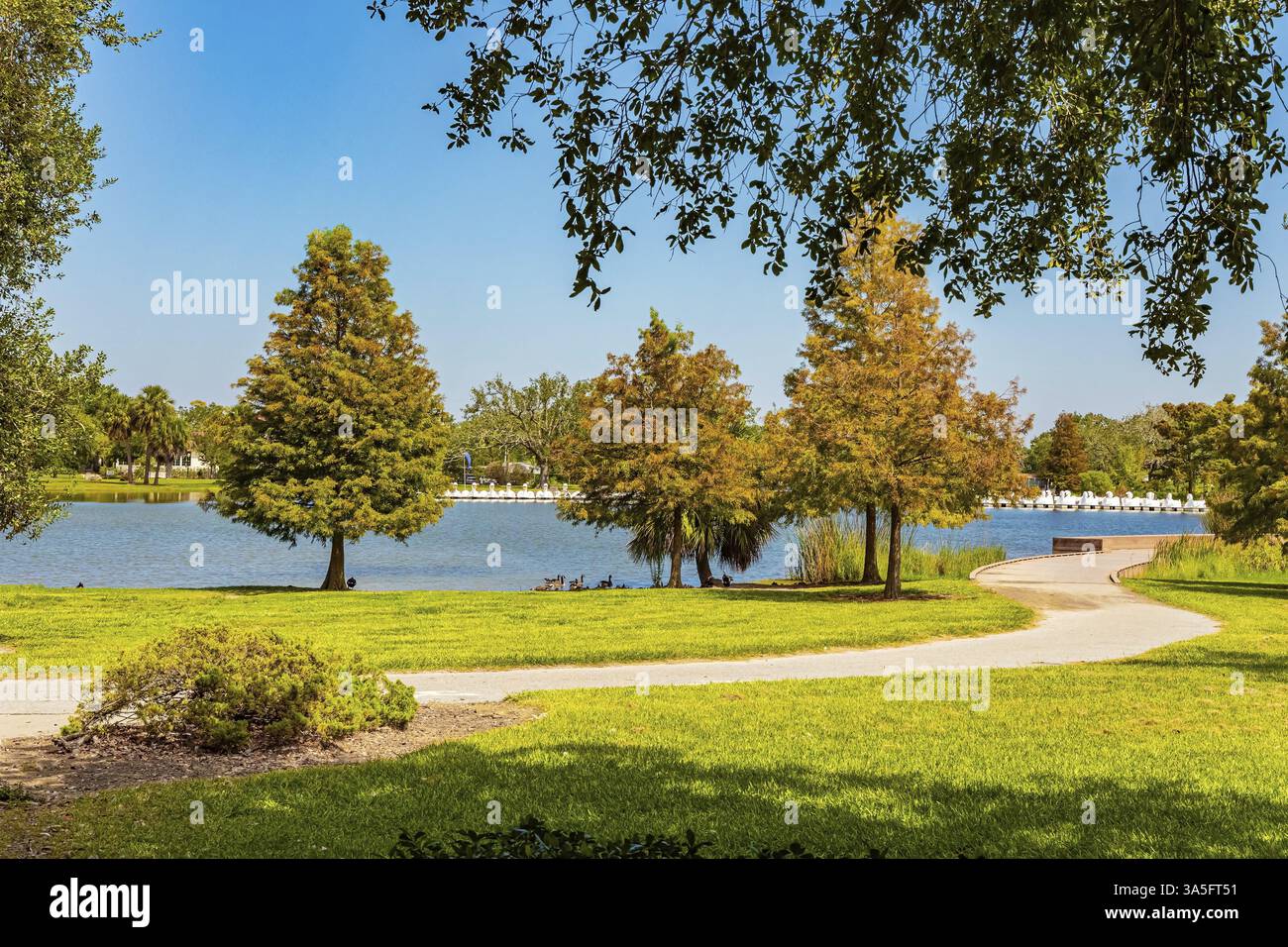 Little grove on the shore. New Orleans. The City Park with wonderful ...