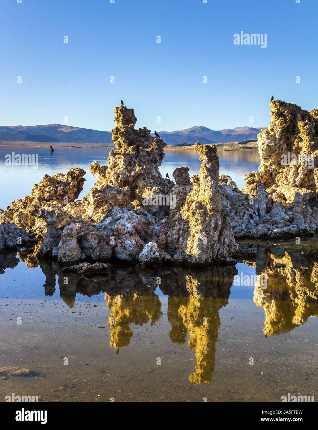 Picturesque Mono lake. The columns-remains of Tufa are fantastically ...