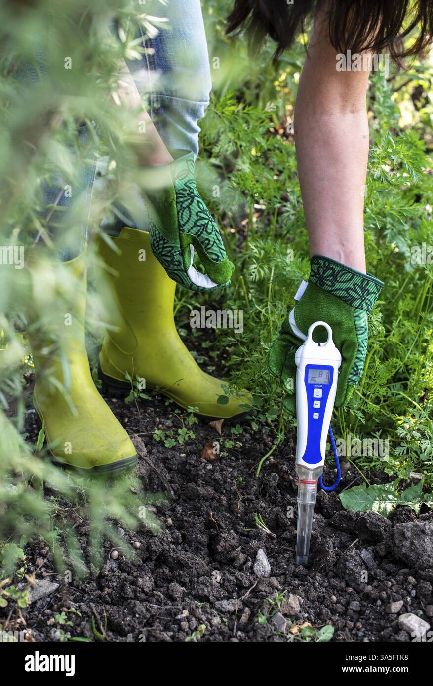 PH meter tester in soil. Measure soil with digital device. Woman farmer ...