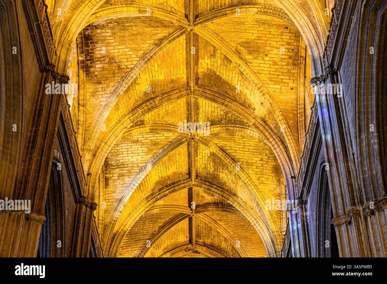 Supportive architectural arches in the stone ceiling, interior features ...