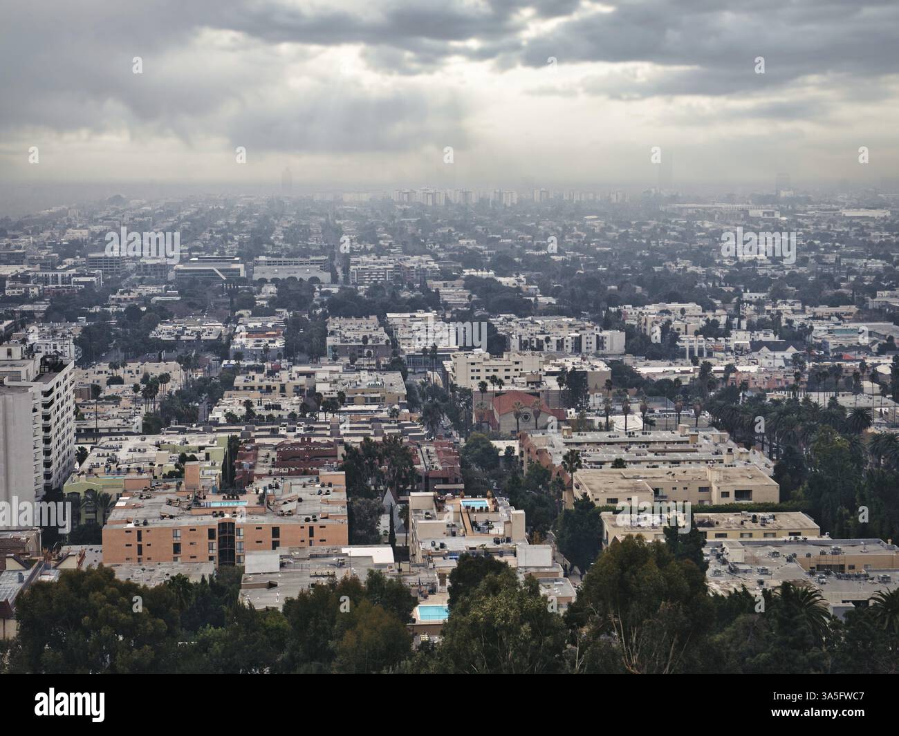 Drone view of cityscape with typical residential houses and green trees ...
