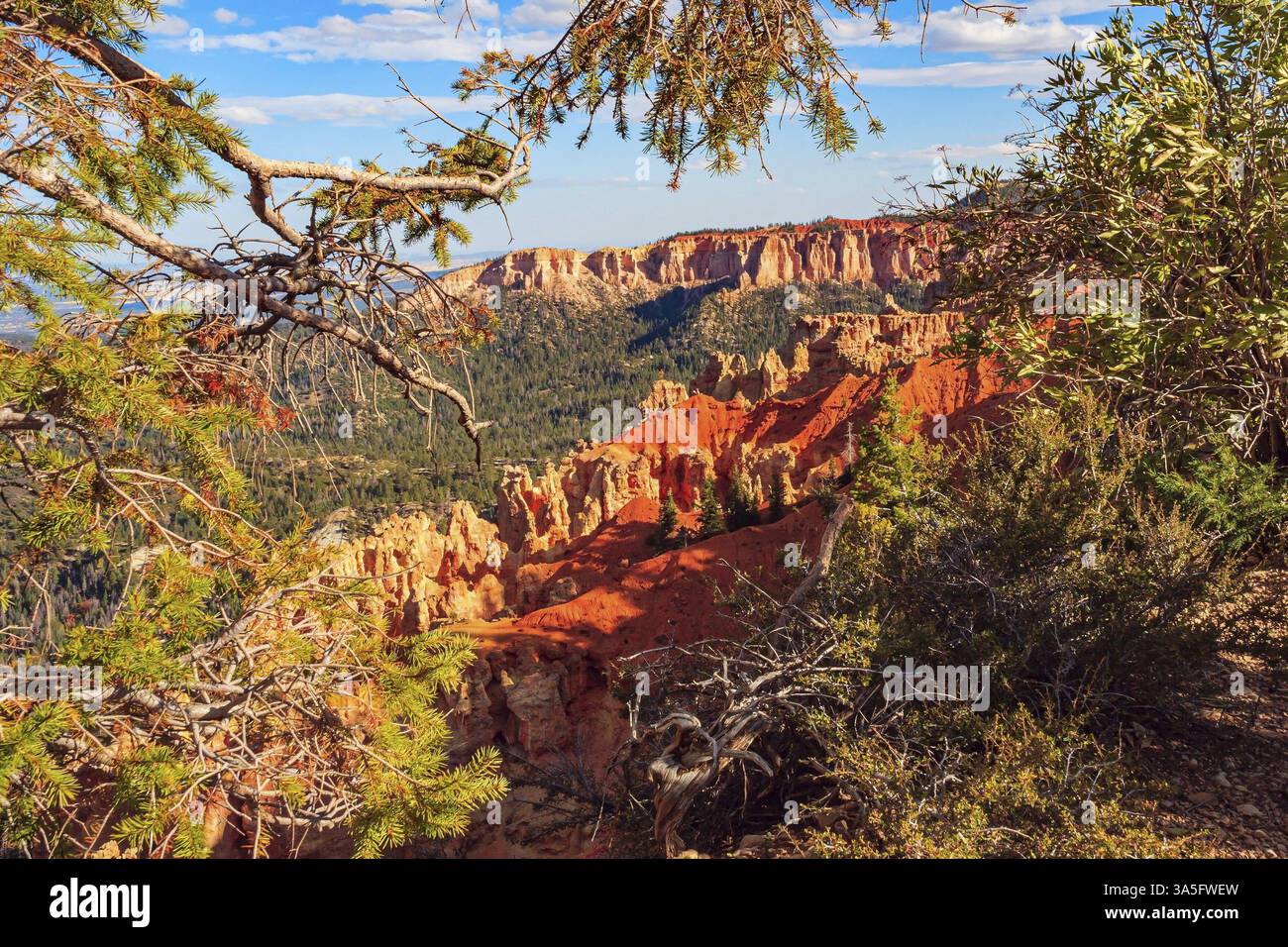 Giant natural amphitheater created by erosion. Bryce Canyon in the USA ...