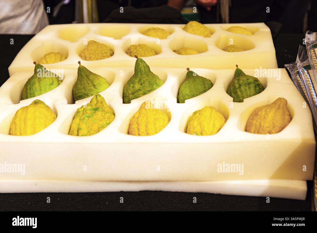 Beautiful etrogs are stacked in special shapes. Pre-holiday bazaar for ...