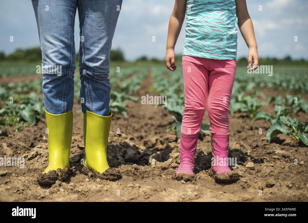 Woman and child on cabbage plantation. Agriculture concept with mother ...