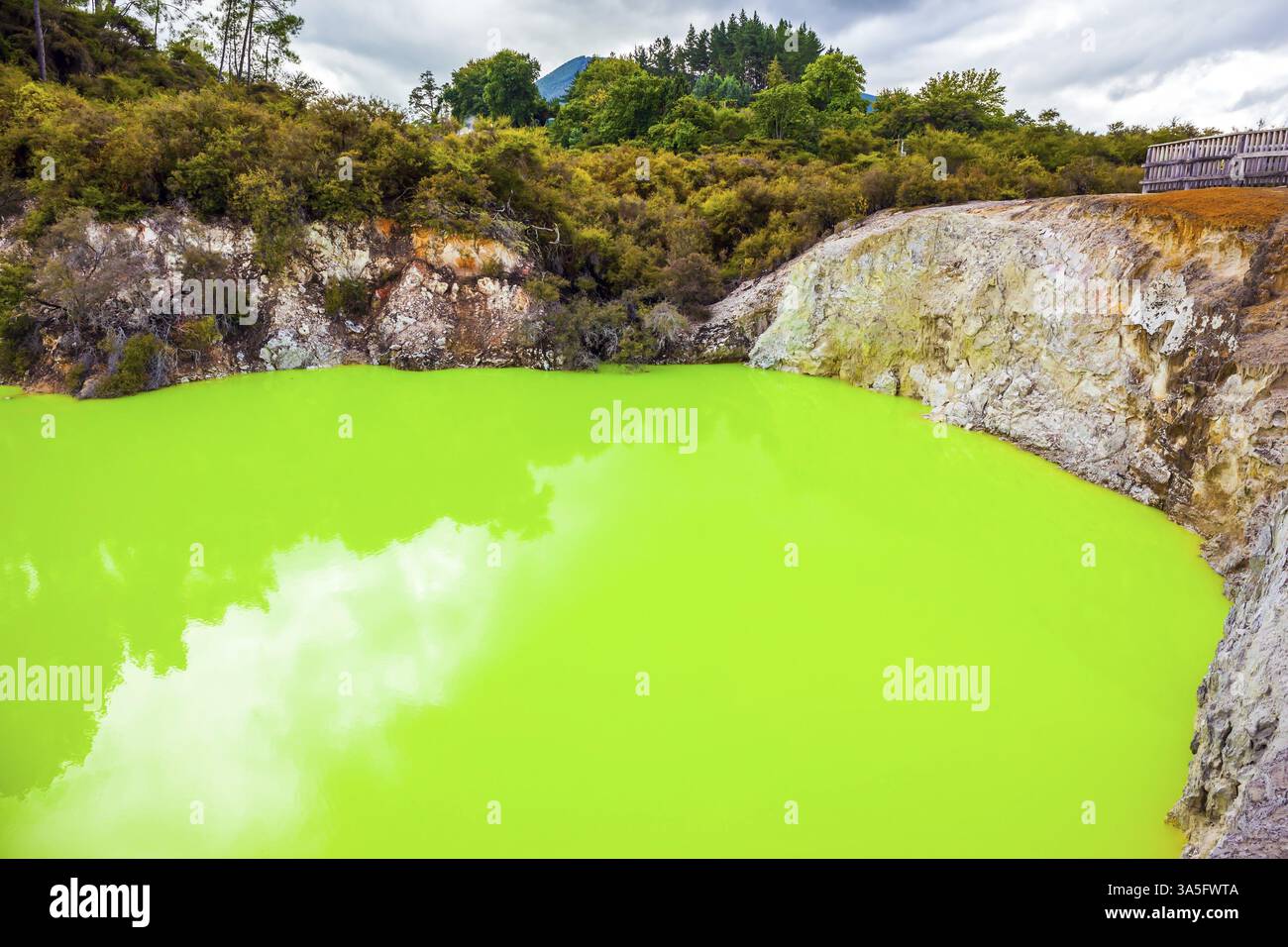 The unique geothermal area of Rotorua. Devil's Bath with bright green ...