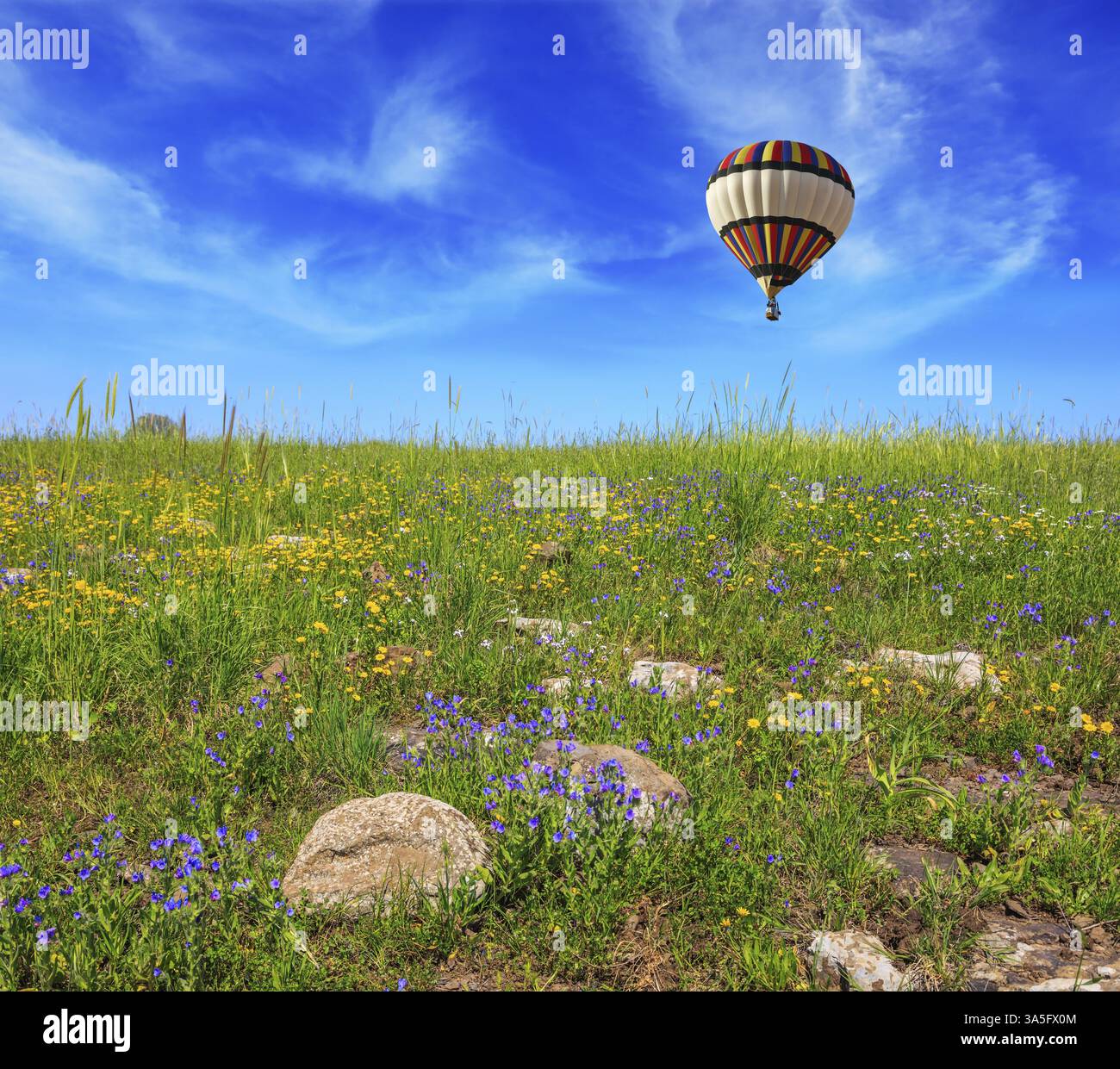 Flowering Golan Heights in a beautiful sunny day. In a clear sky flying ...