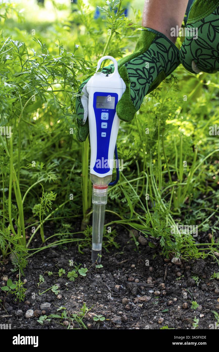 PH meter tester in soil. Measure soil with digital device. Woman farmer ...