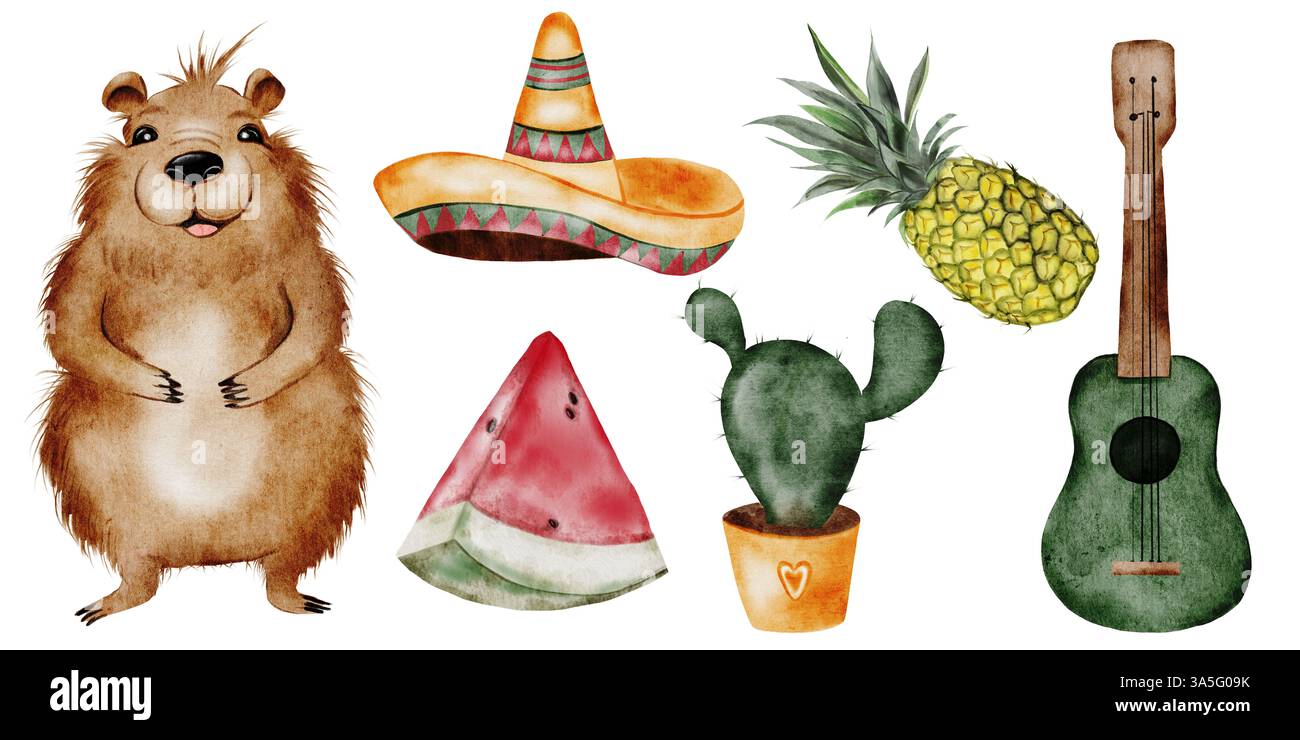 Capybara watercolor set. A funny cartoon animal, mexican sombrero hat ...