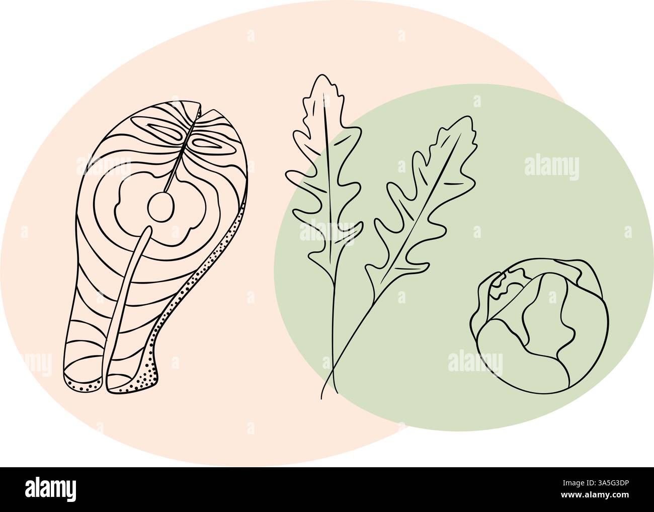 Freehand Outline Salmon steak Brussels Sprout Head Arugula Abstract ...