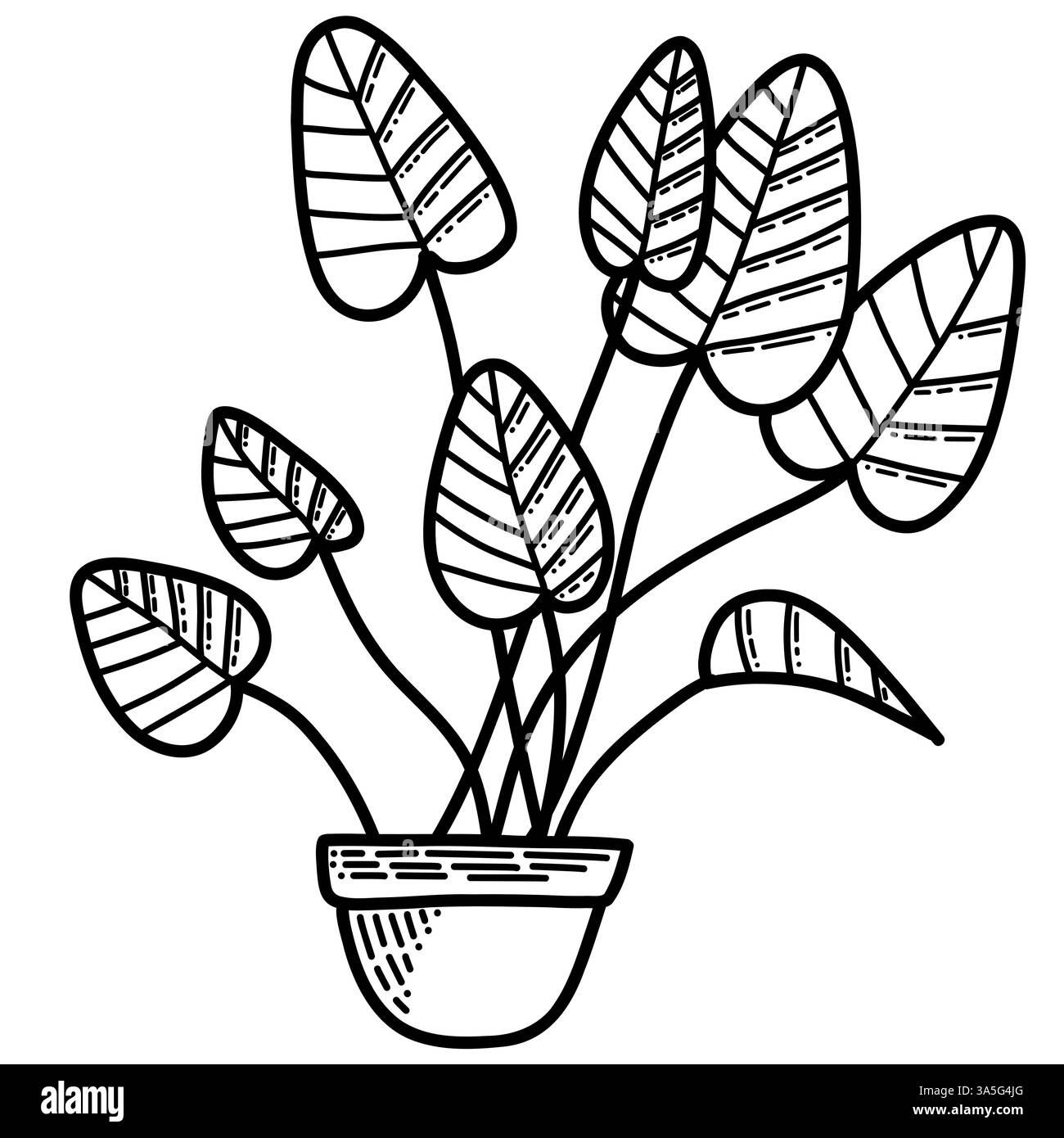 Hand-Drawn Potted Plant Illustration with Bold Leaves and Intricate ...
