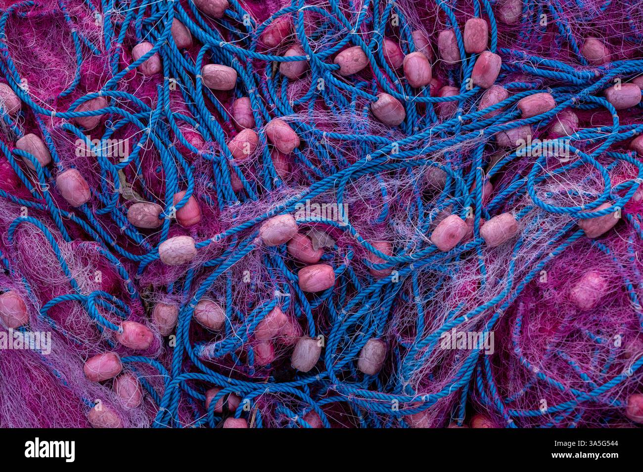 Close-up of tangled purple fishing net with blue ropes and pink floats ...
