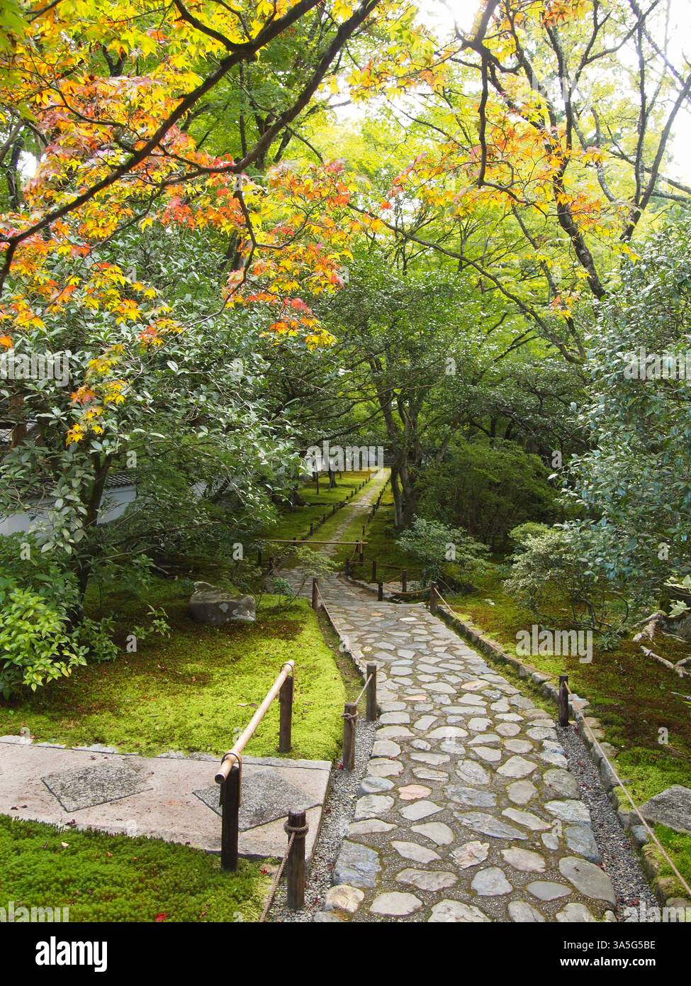 Saihoji | Kokedera (Moss Temple). Zen Temple at Kyoto Stock Photo - Alamy