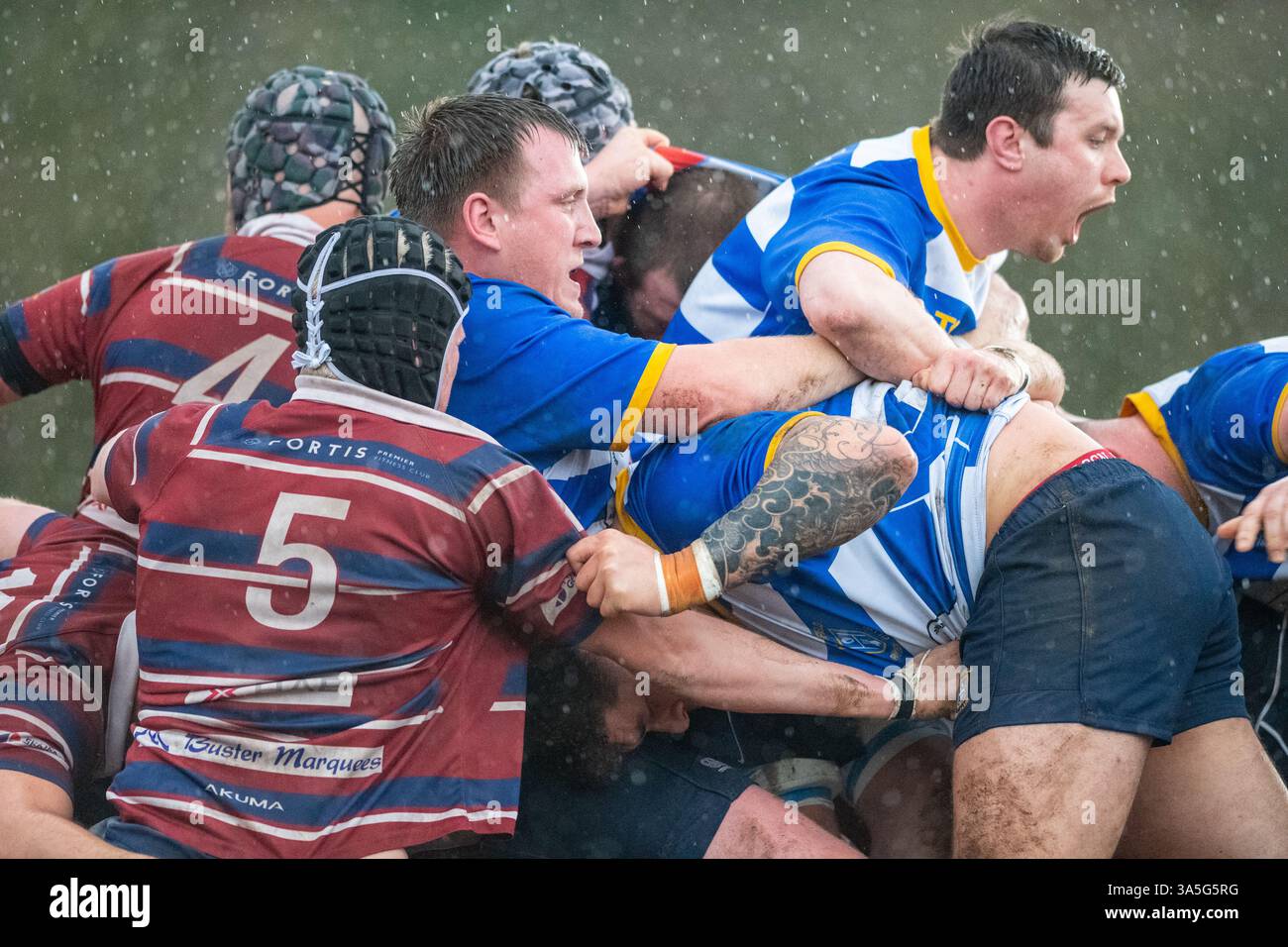 Mens amateur Rugby Union game played in wet and muddy weather Stock ...