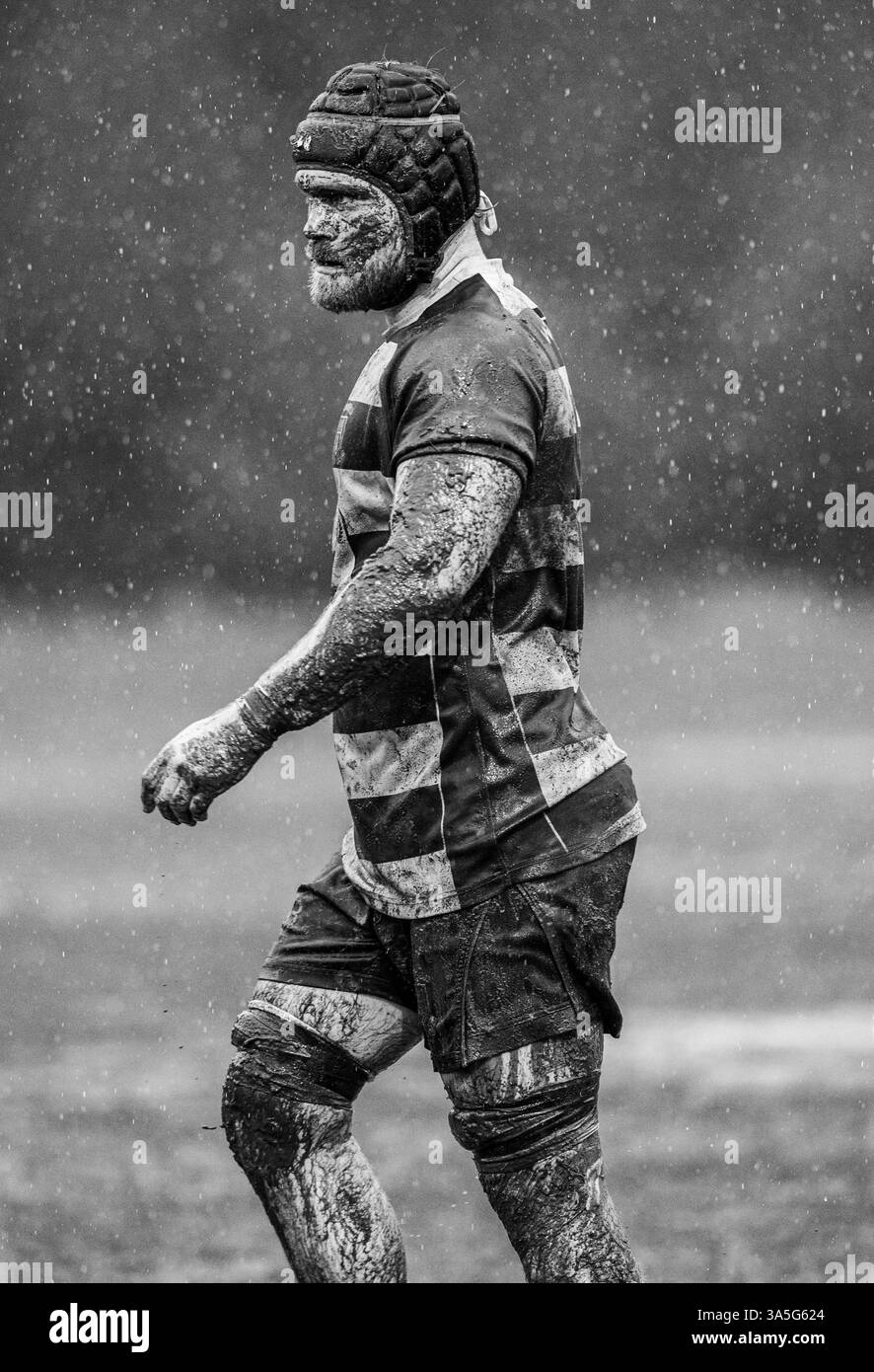 Mens amateur Rugby Union game played in wet and muddy weather Stock ...