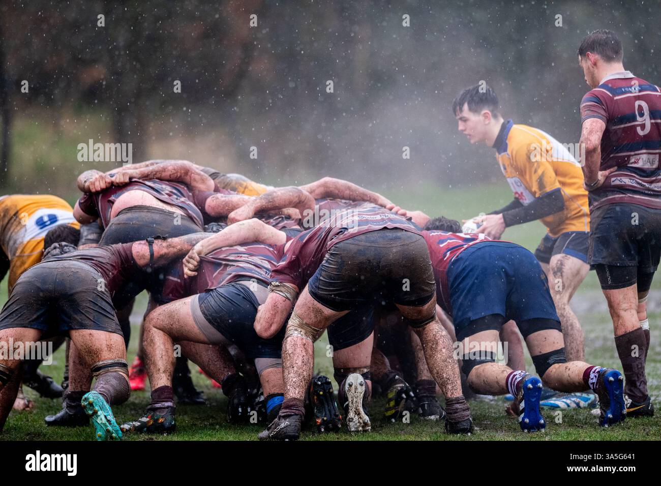 Mens amateur Rugby Union game played in wet and muddy weather Stock ...