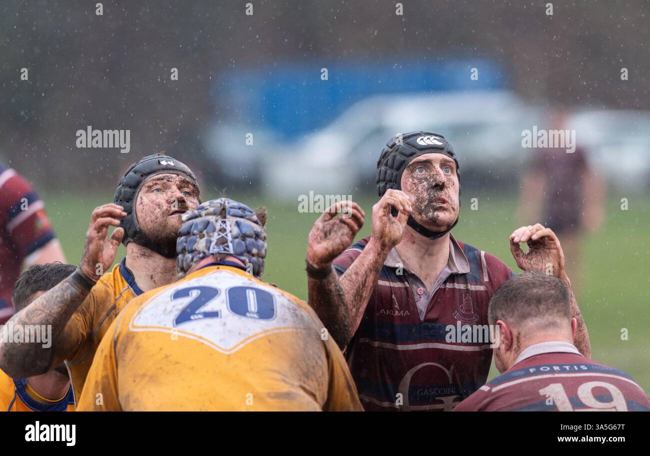 Mens amateur Rugby Union game played in wet and muddy weather Stock ...
