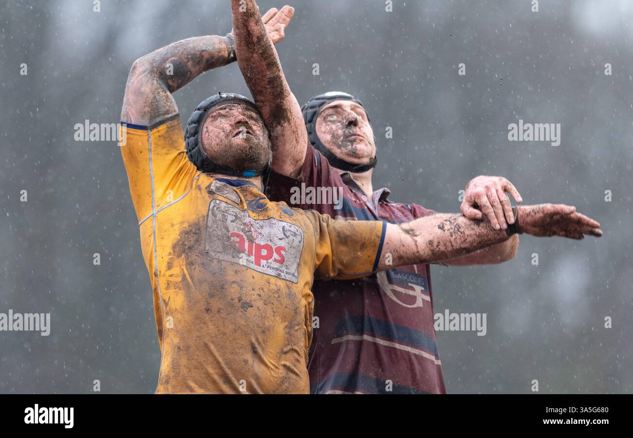 Mens amateur Rugby Union game played in wet and muddy weather Stock ...